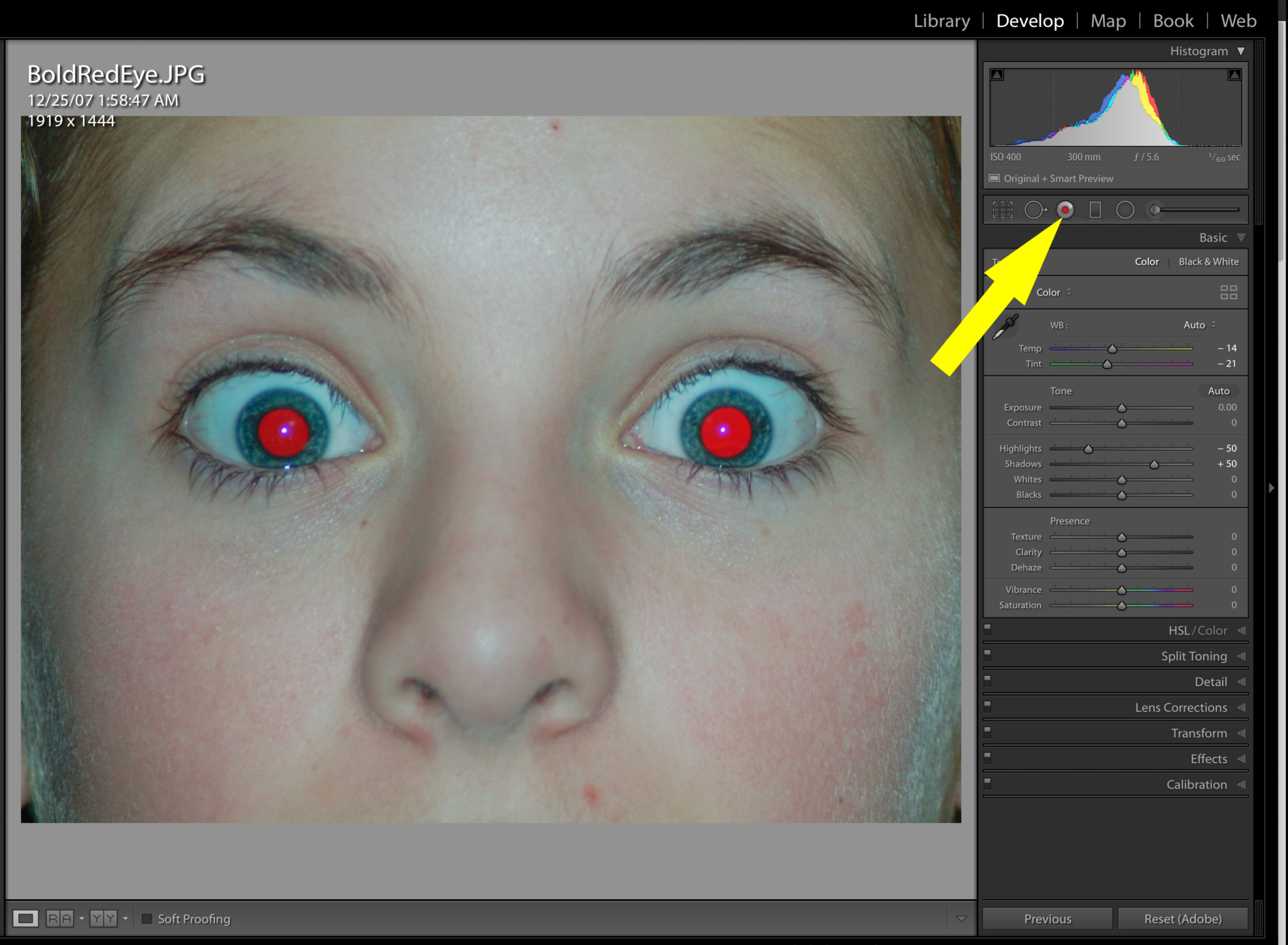 Remove Red Eyes Lightroom Mobile: 2 Best Methods